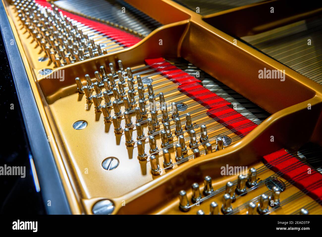 A close-up of the internal string structure of a top grand piano Stock ...