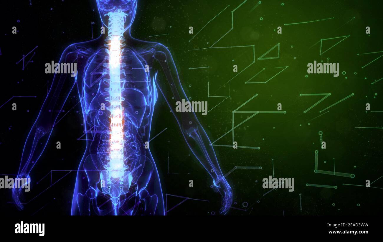 spine on x-ray scan of body, cg medical 3d illustration Stock Photo - Alamy