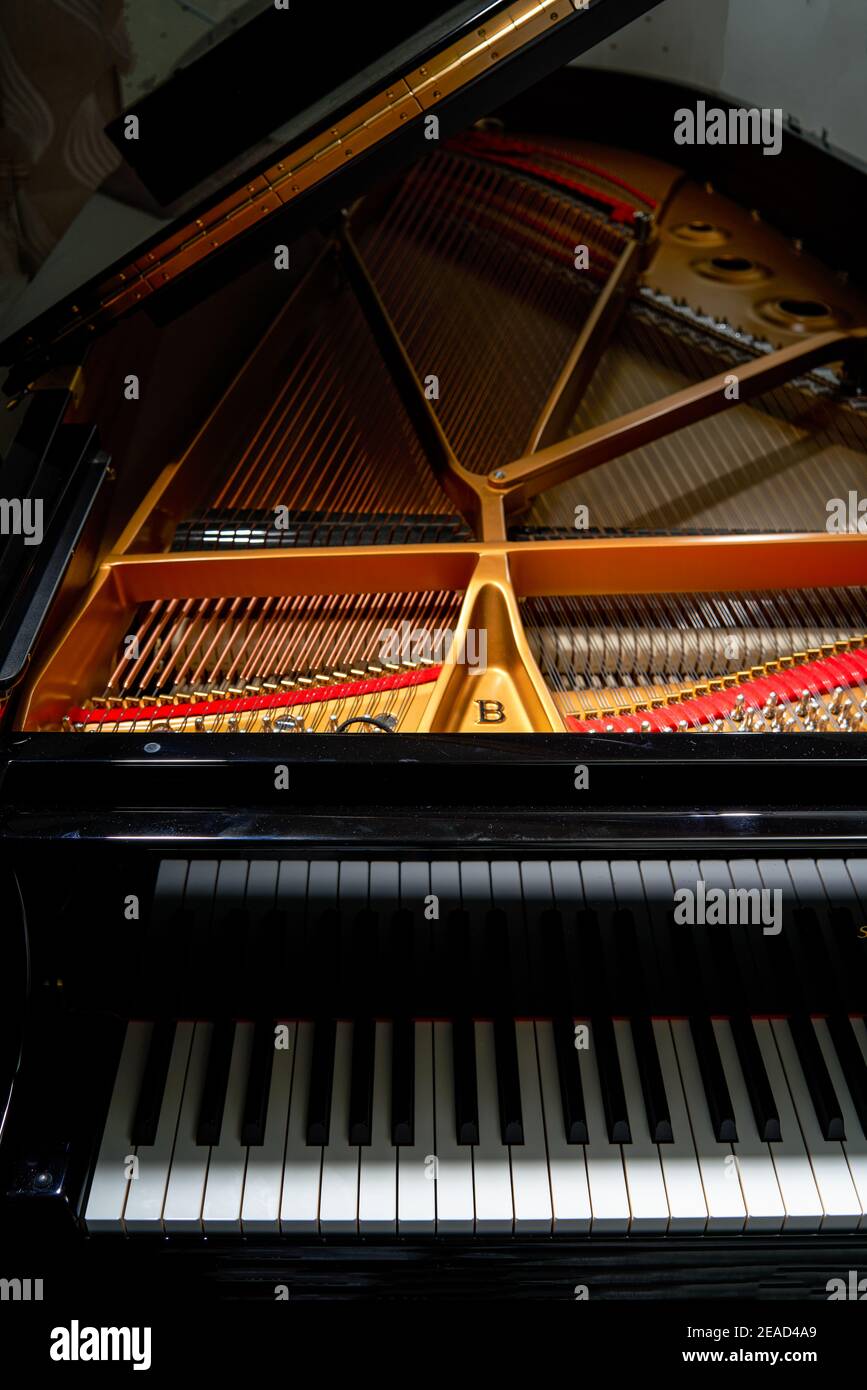 A close-up of the internal string structure of a top grand piano Stock ...