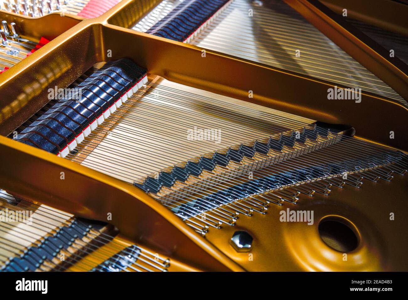 A close-up of the internal string structure of a top grand piano Stock ...