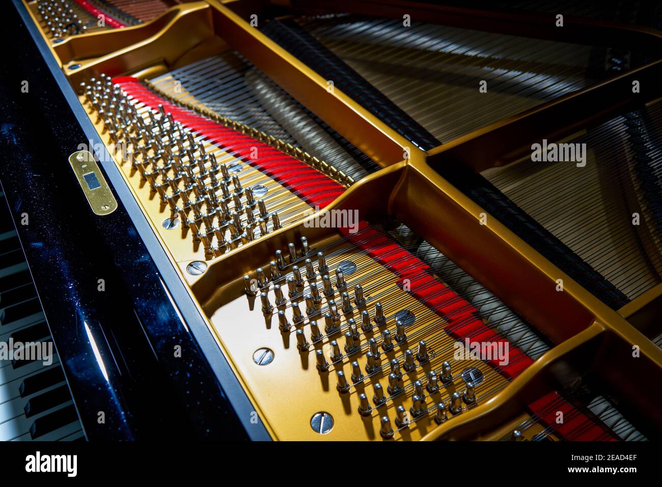 A close-up of the internal string structure of a top grand piano Stock ...