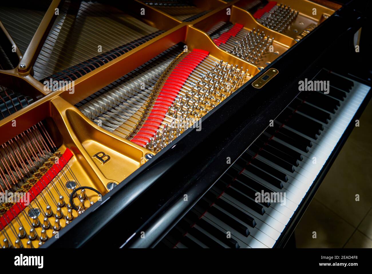 A close-up of the internal string structure of a top grand piano Stock ...