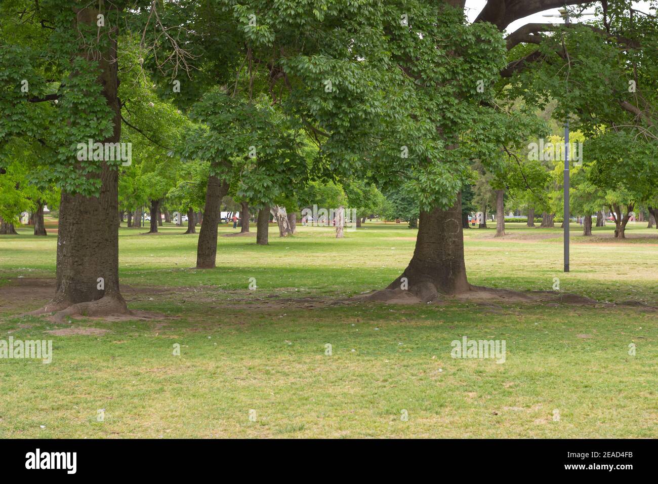 City park without people during coronavirus Stock Photo - Alamy