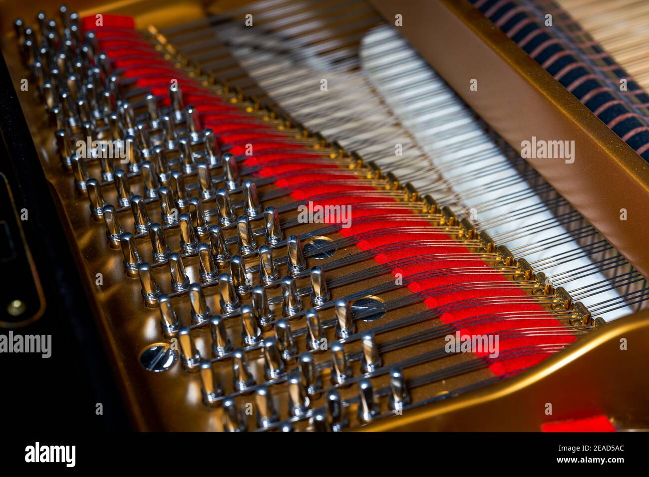 A close-up of the internal string structure of a top grand piano Stock ...