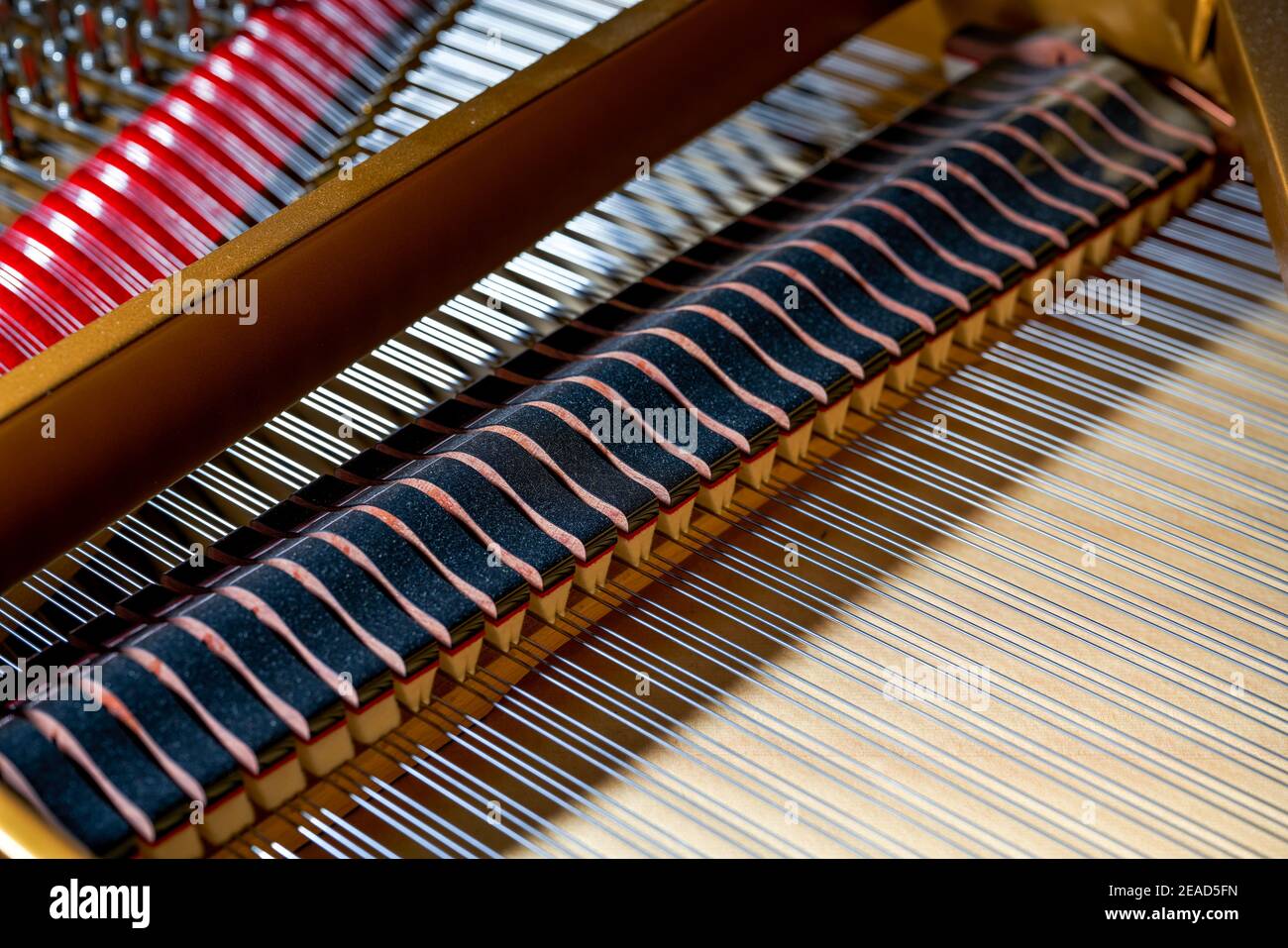 A close-up of the internal string structure of a top grand piano Stock ...