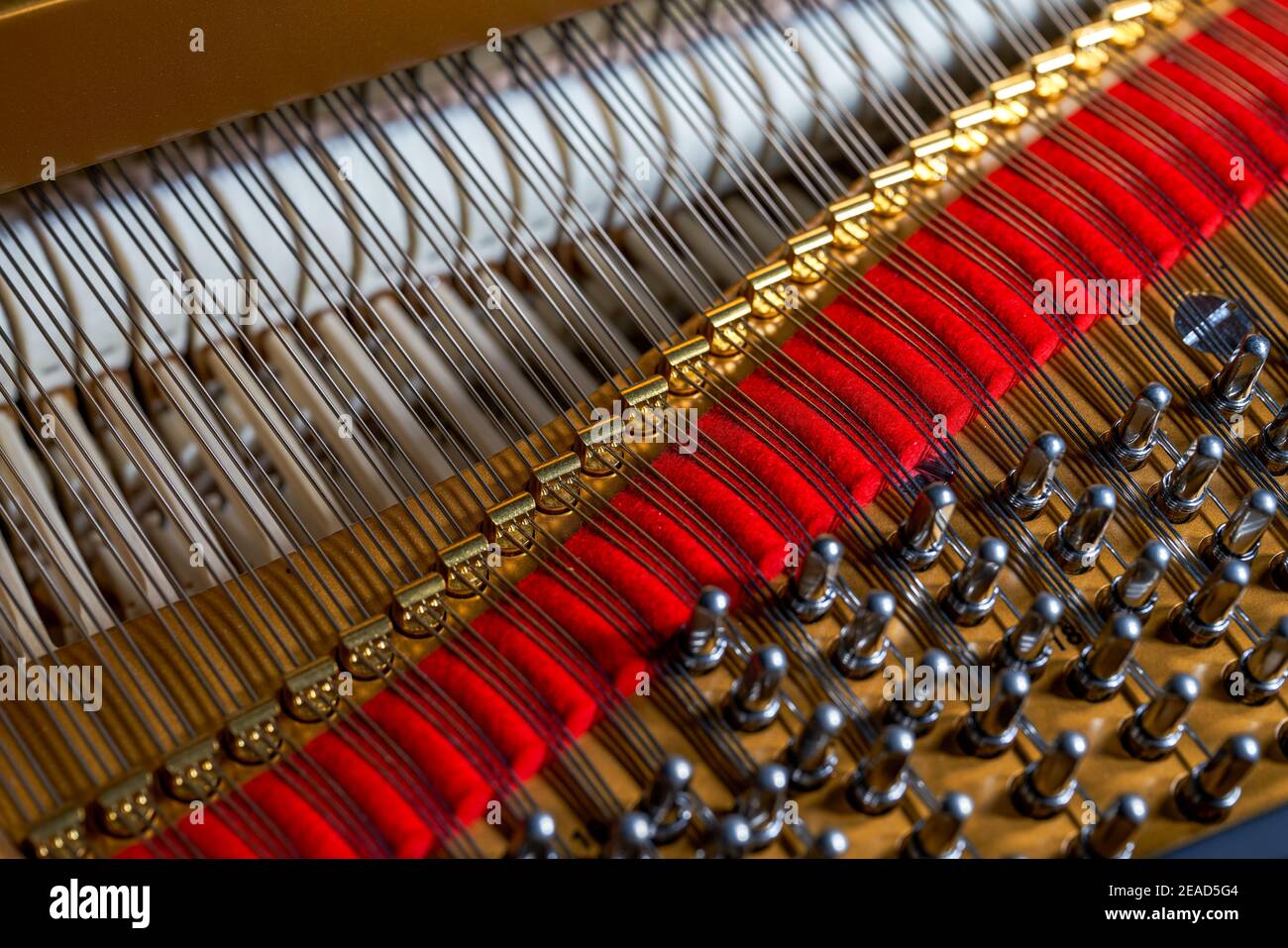 A close-up of the internal string structure of a top grand piano Stock ...