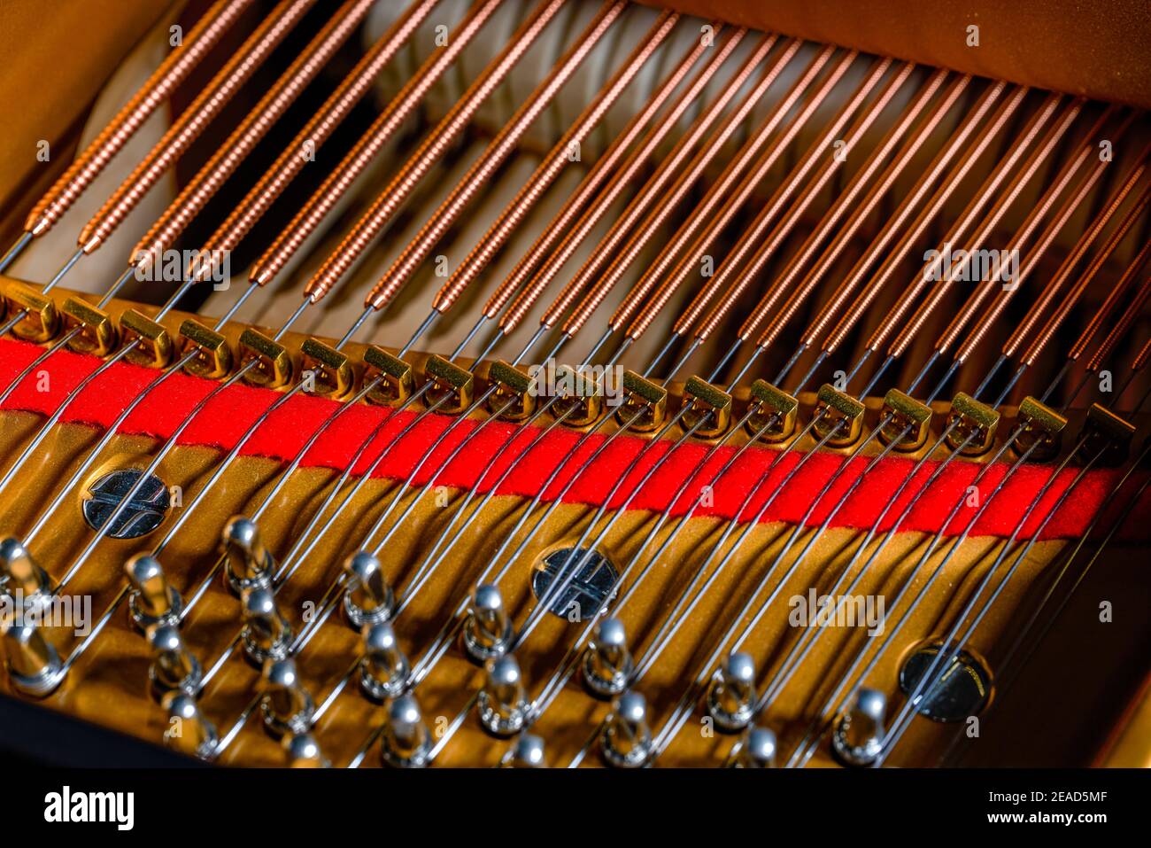 A close-up of the internal string structure of a top grand piano Stock ...