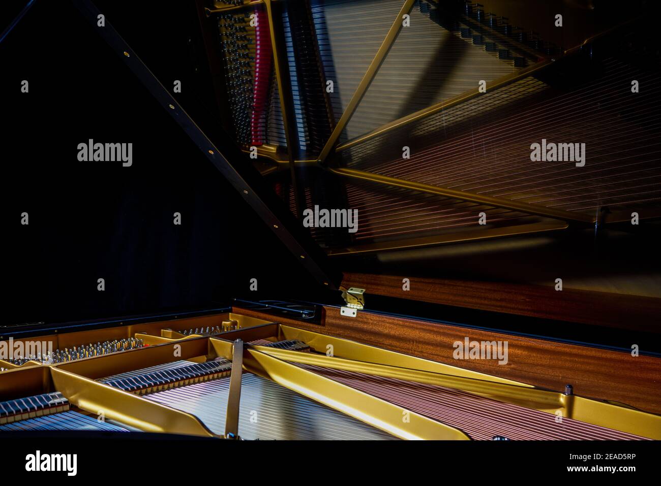 A close-up of the internal string structure of a top grand piano Stock ...