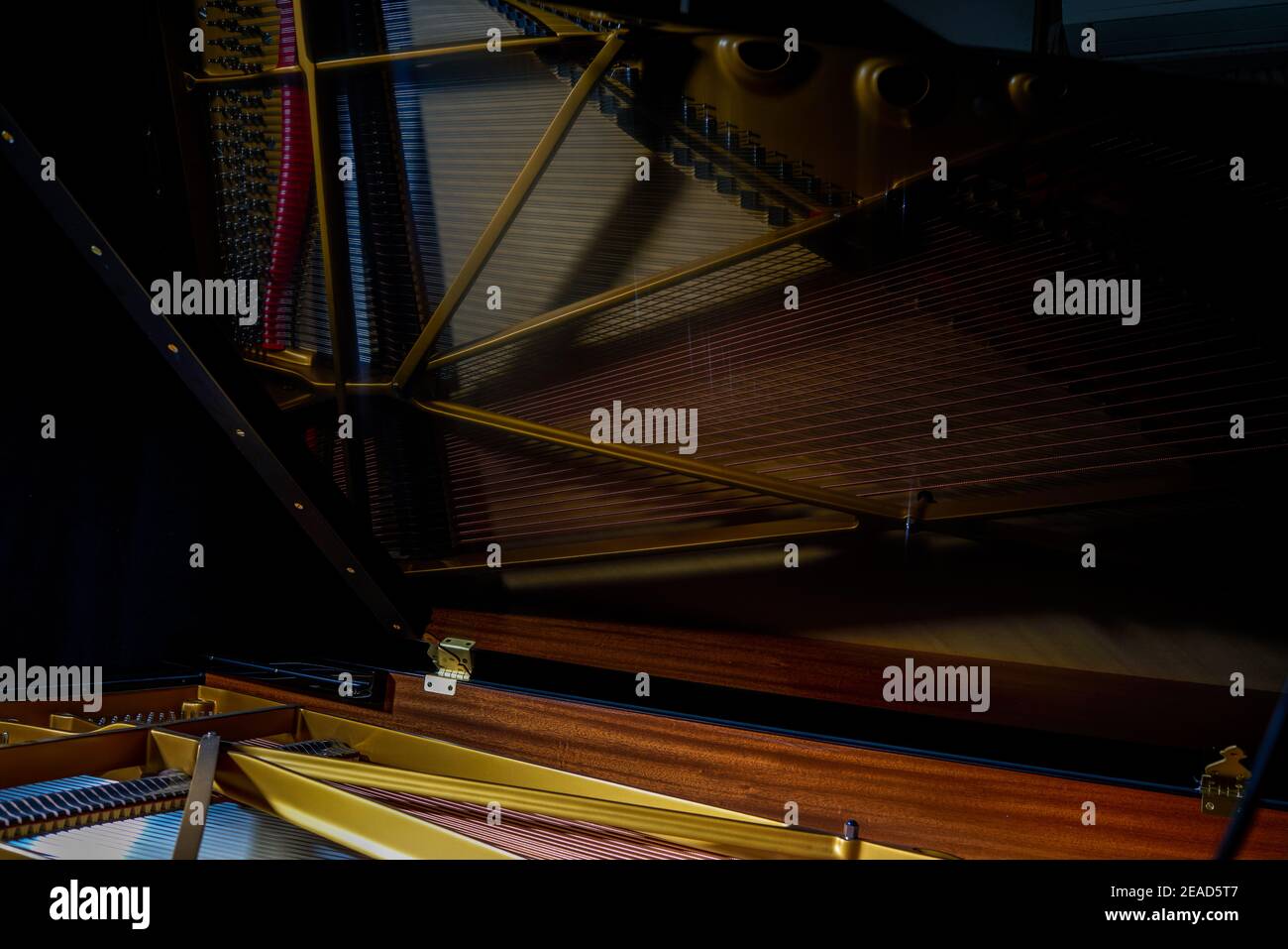 A close-up of the internal string structure of a top grand piano Stock ...