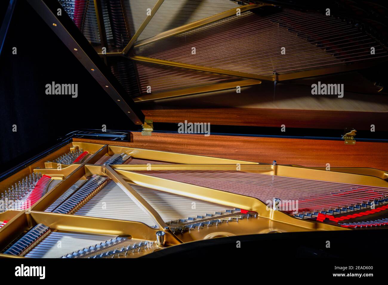 A close-up of the internal string structure of a top grand piano Stock ...
