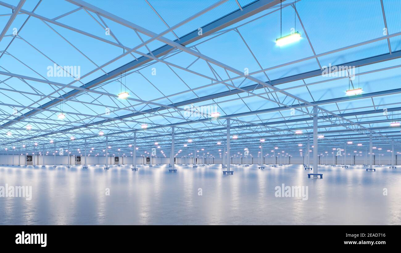 Big industrial greenhouse interior. Hydroponic indoor vegetable plant ...