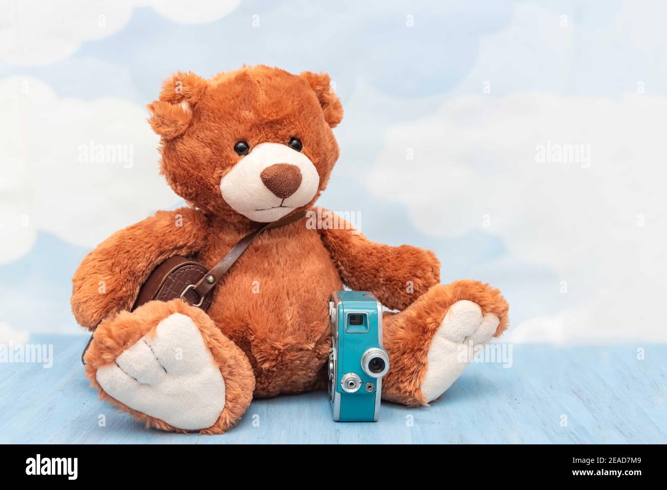 Teddy bear photographer hi-res stock photography and images - Alamy