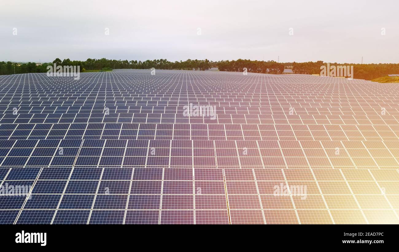 Solar panels at sunset or sunrise. Photovoltaic, renewable energy Stock ...