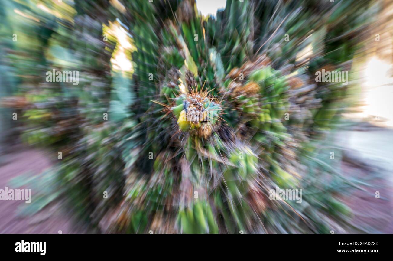 Zoom shot hi-res stock photography and images - Alamy