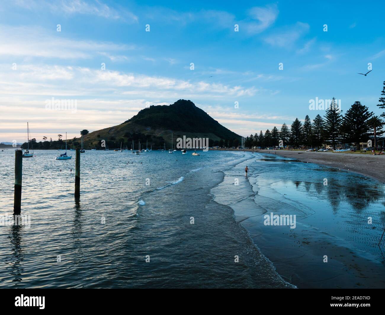Mount Maunganui mauoa at sunset from pilot bay and mount drury tauranga ...
