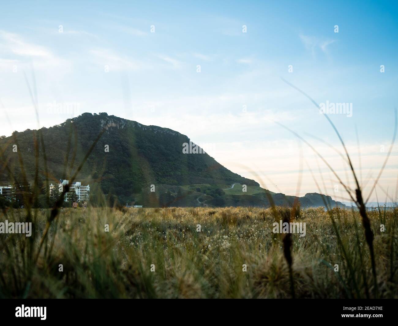 Mount Maunganui mauoa at sunset from pilot bay and mount drury tauranga ...