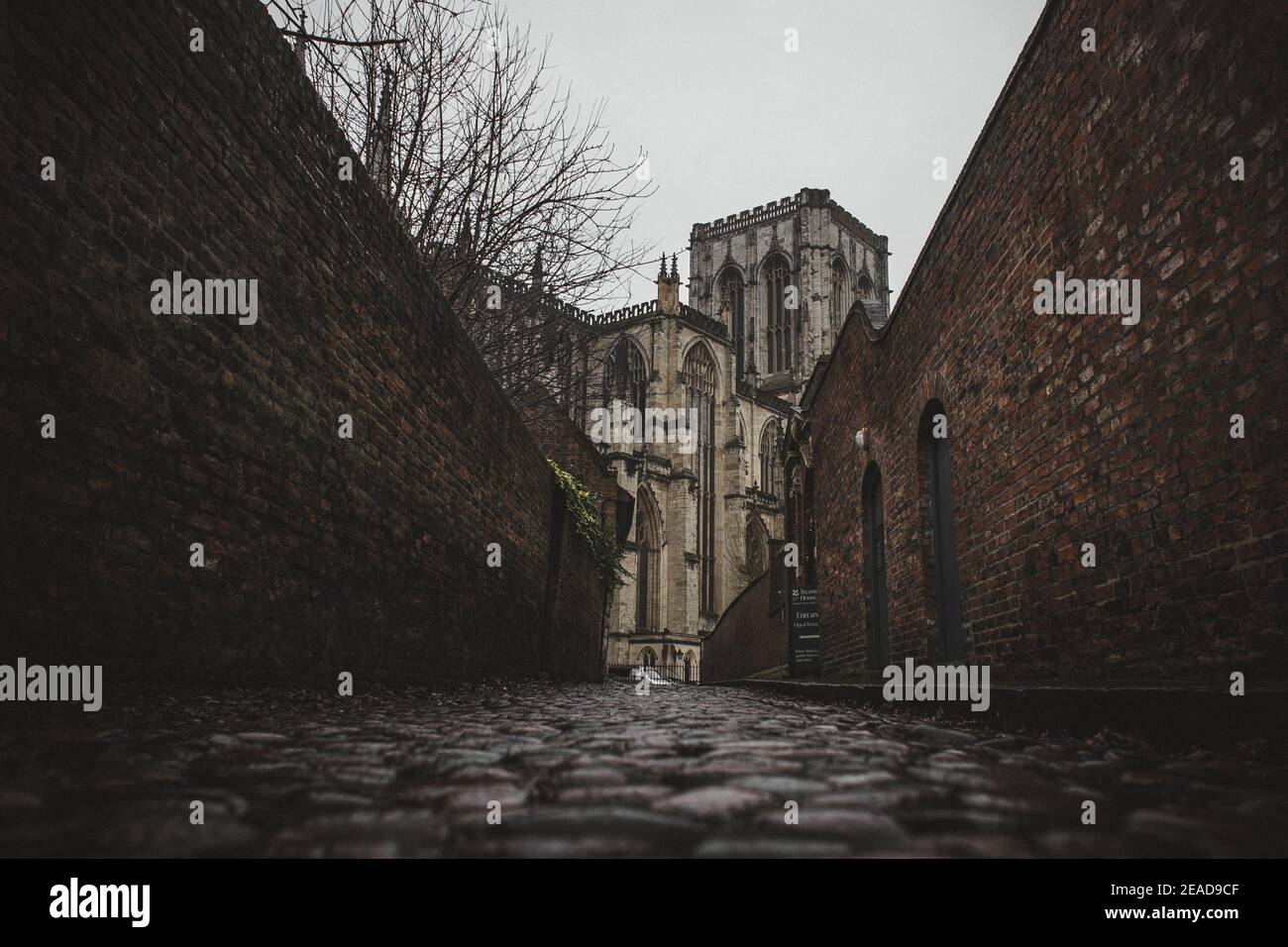 View of York Minster from Chapter House Street in York, North Yorkshire ...
