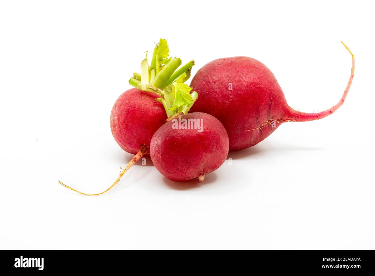 Whole beetroot view hi-res stock photography and images - Alamy