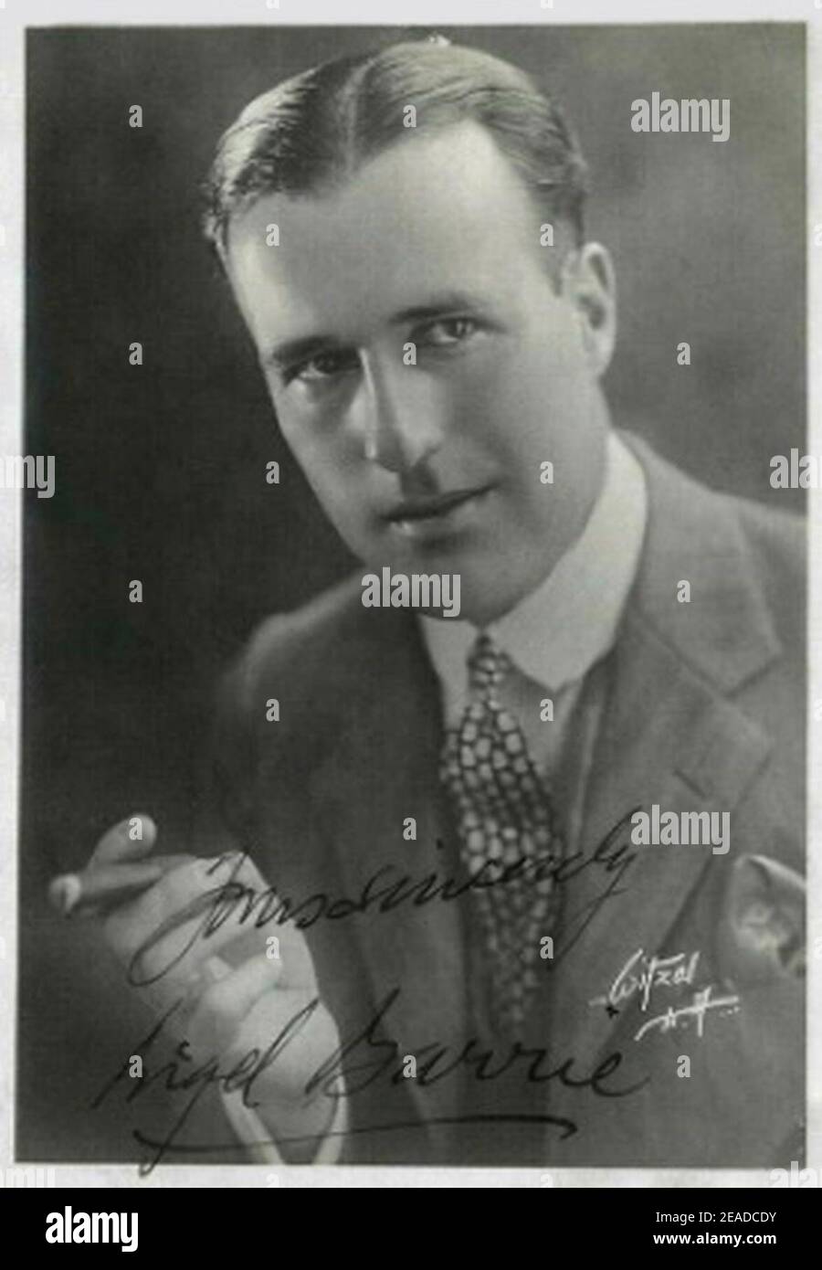 Nigel Barrie by Albert Witzel Stock Photo - Alamy