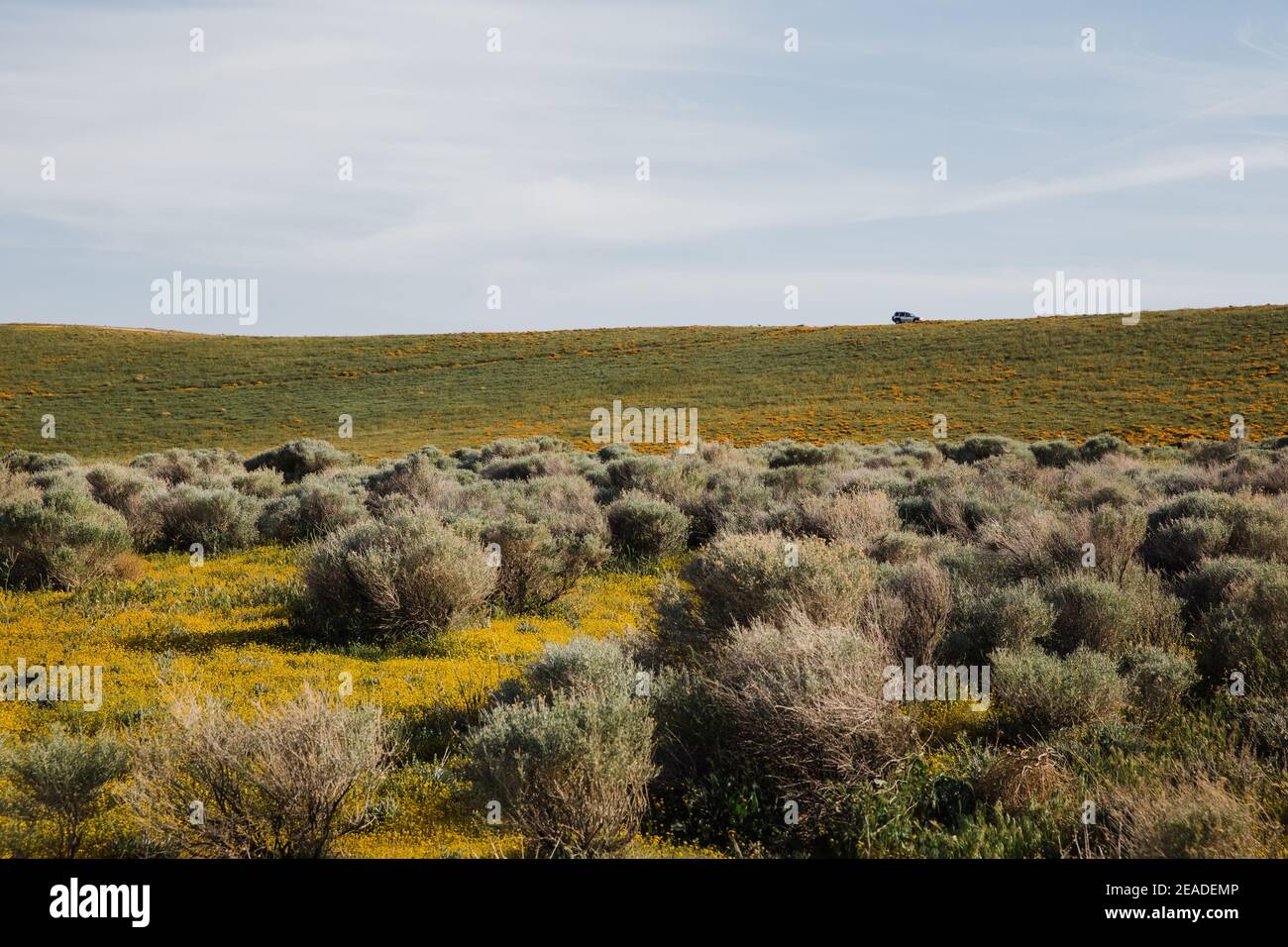 Beautiful landscape with hills and greenery in the Antelope Valley ...