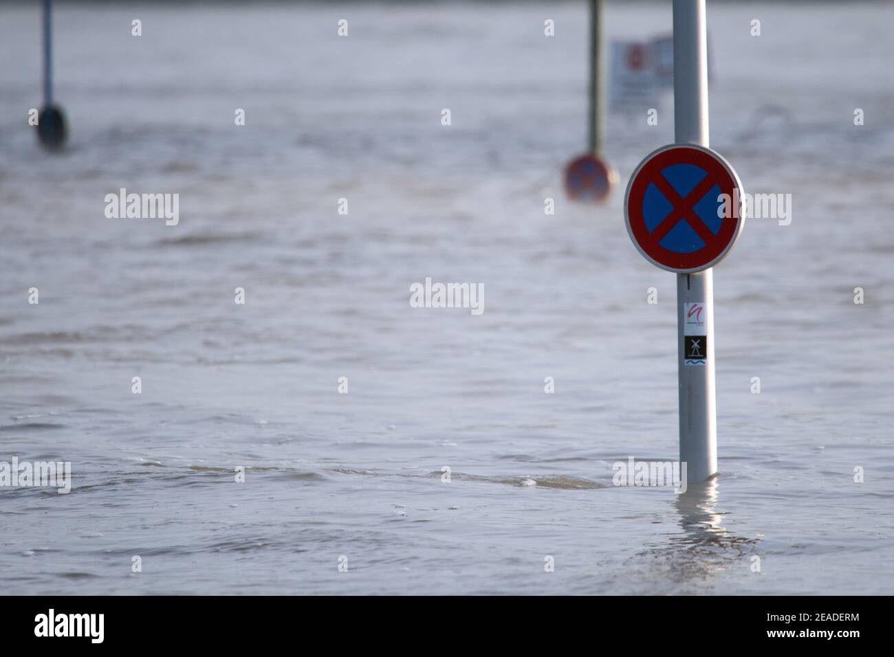 Zons, Germany. 09th Feb, 2021. Traffic signs stand in the high water of ...