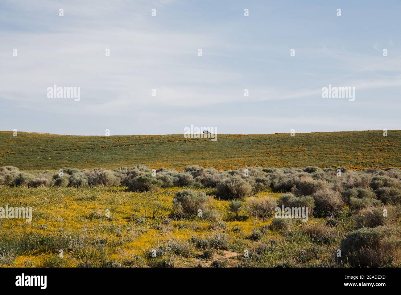 Beautiful landscape with hills and greenery in the Antelope Valley ...