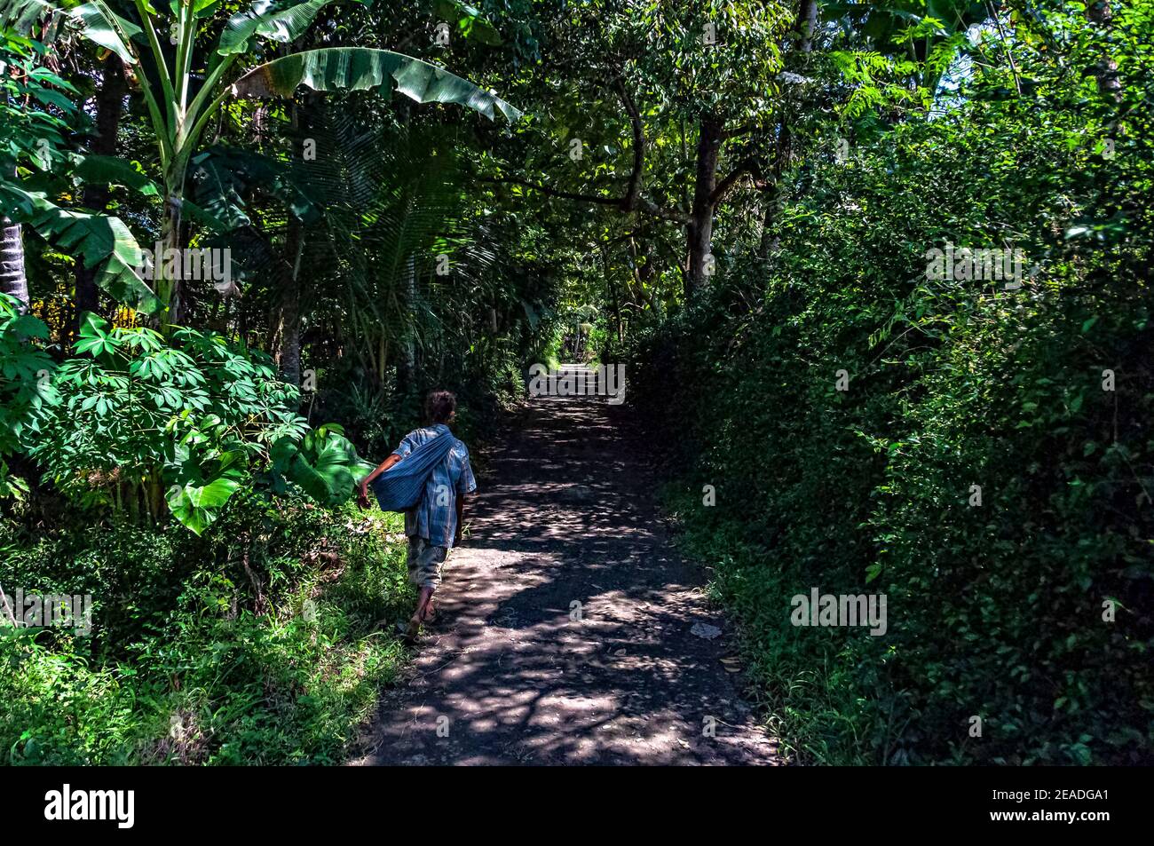 Java road hi-res stock photography and images - Alamy