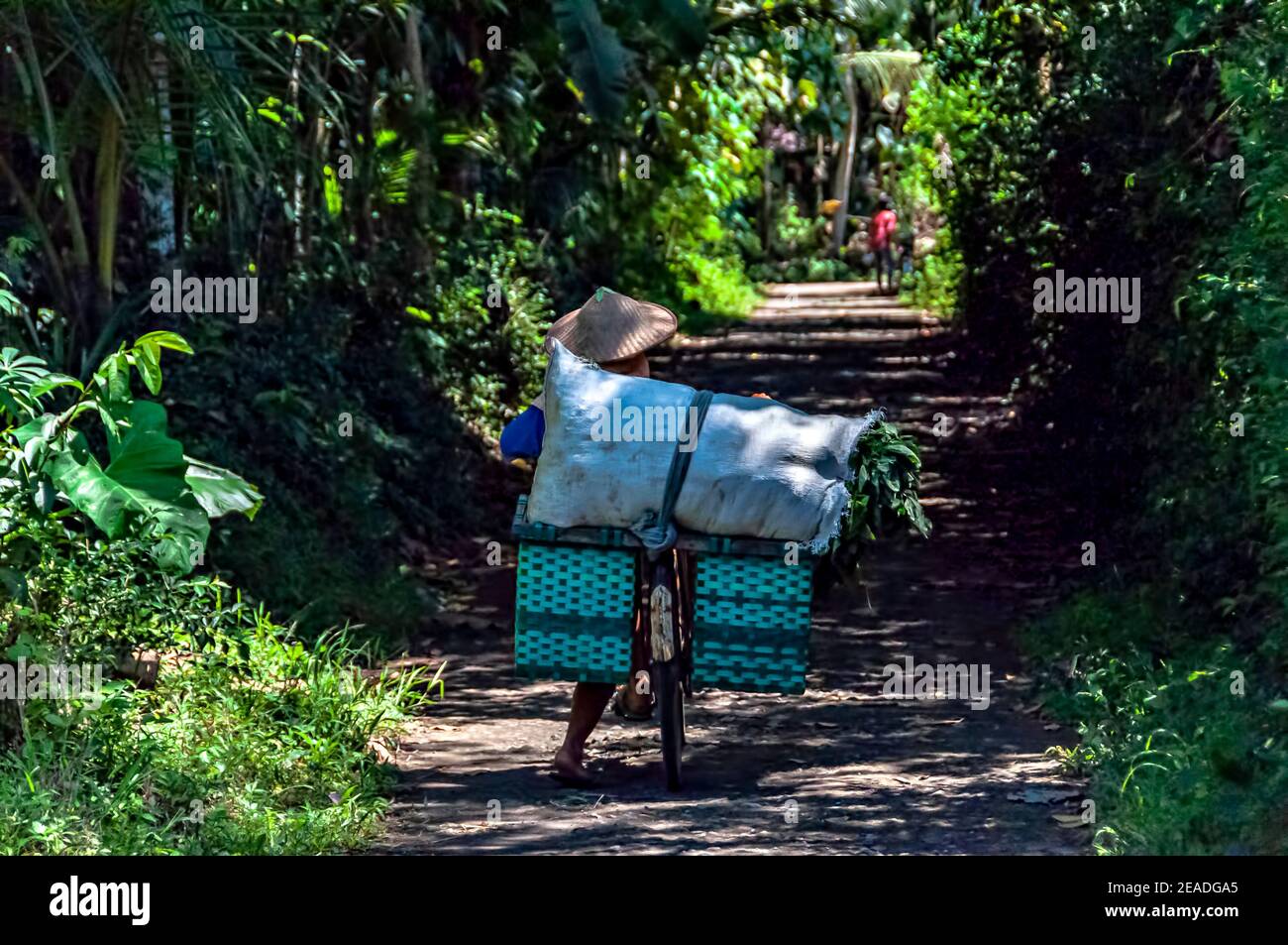 Java road hi-res stock photography and images - Alamy