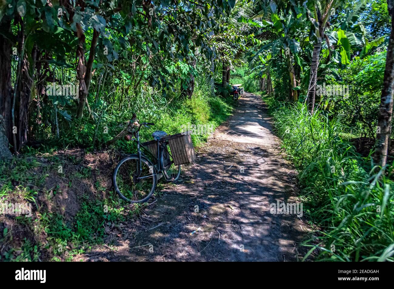 Java road hi-res stock photography and images - Alamy