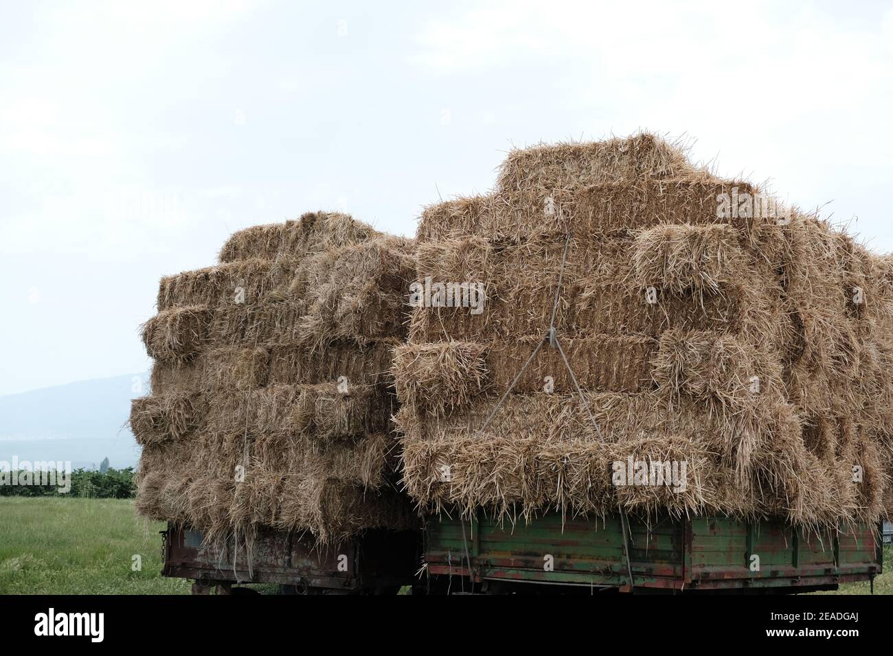 Hay bale truck transport hi-res stock photography and images - Alamy