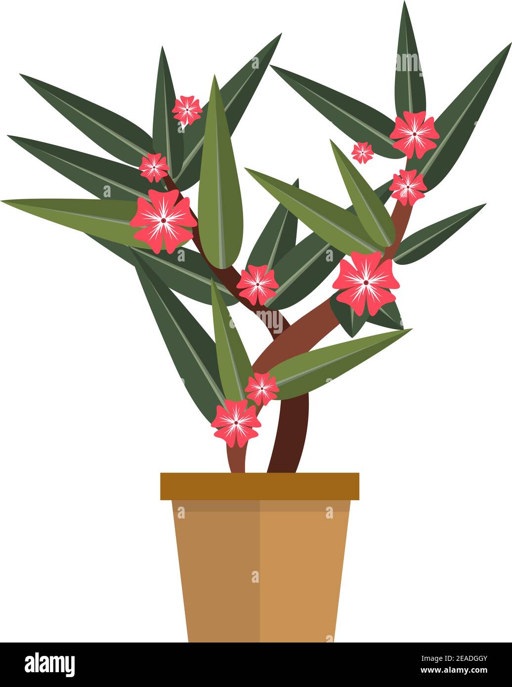 Blooming flower plant in pot flat vector isolated on white Stock Vector ...
