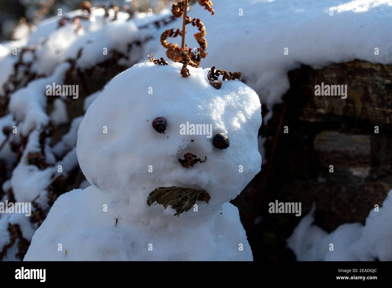 Sad Snowman