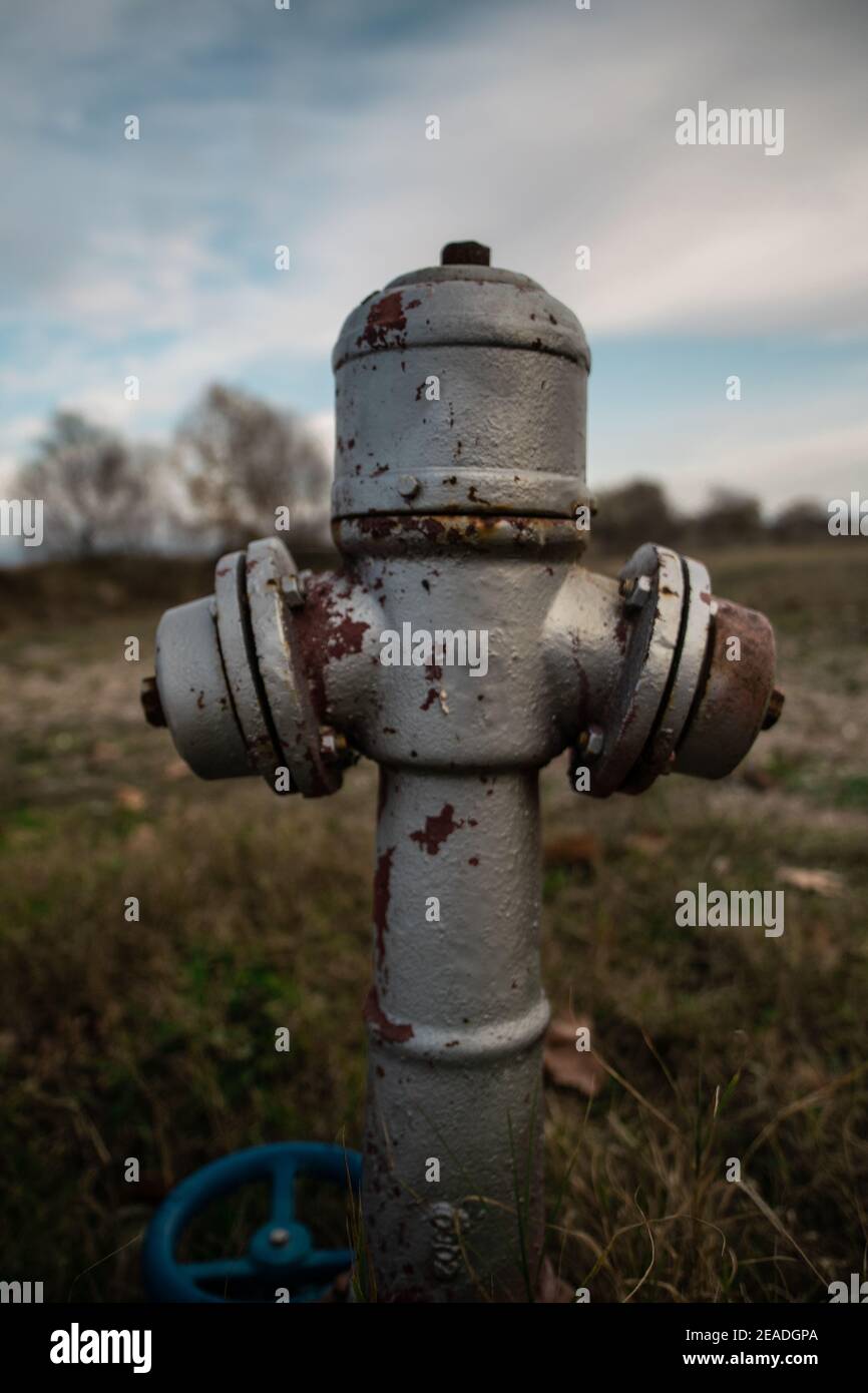 Old fire hydrant on a field of grass filled with rust Stock Photo - Alamy