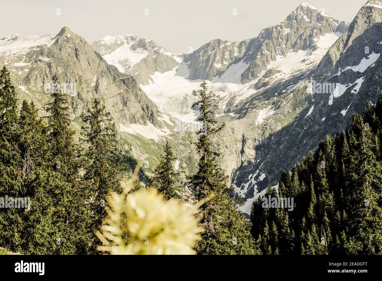 Kumrat pakistan High Resolution Stock Photography and Images - Alamy