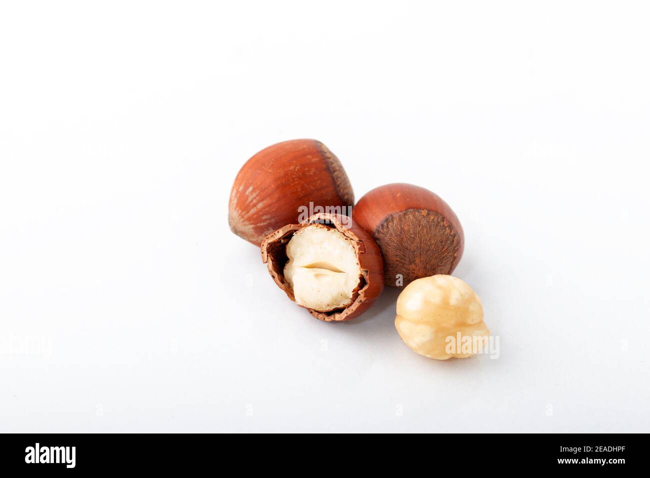 Hazelnut. Fresh organic filbert isolated on white background Stock ...