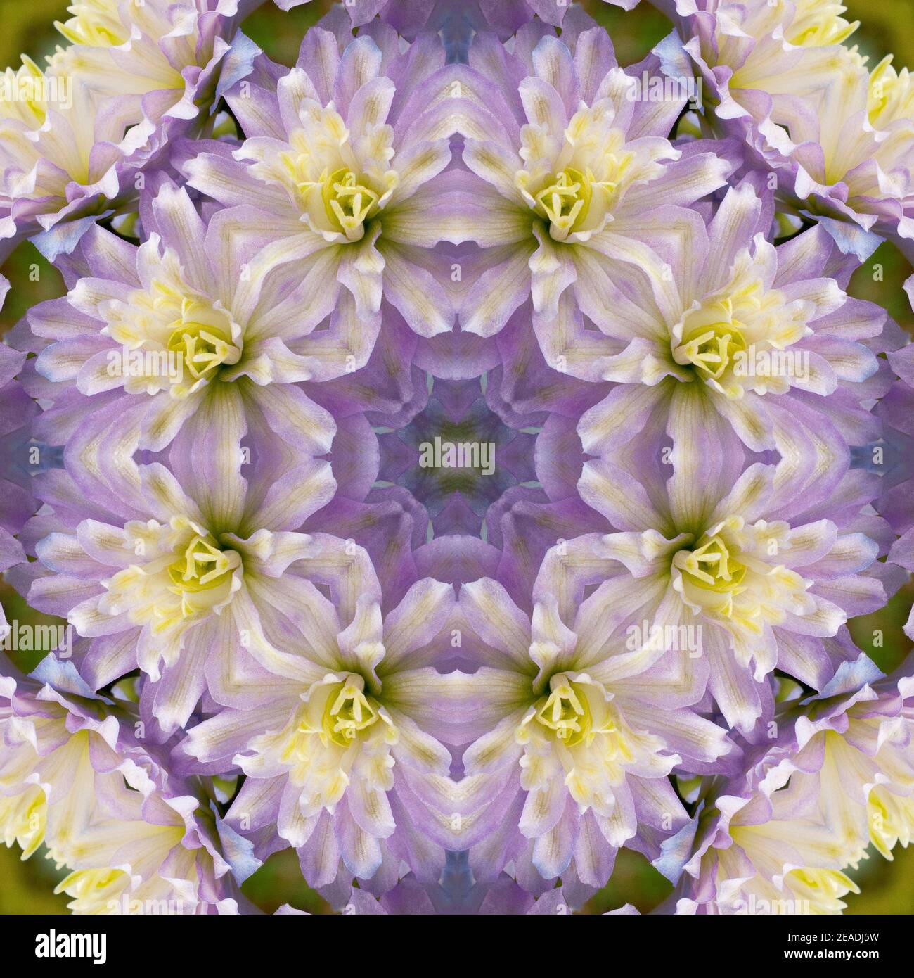 Kaleidoscope of flowers Stock Photo - Alamy