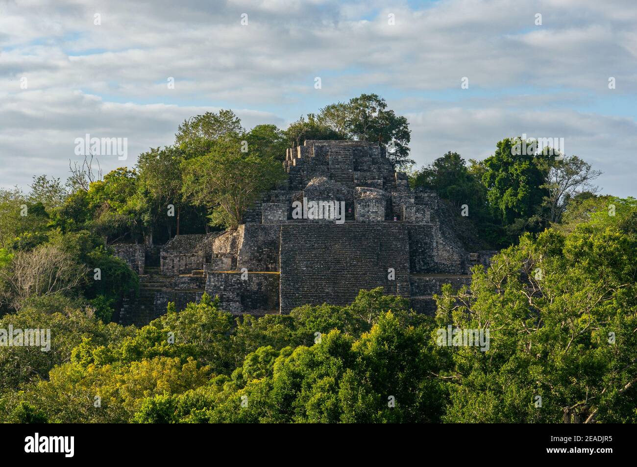 Maya Ruins of Calakmul in Mexico Stock Photo - Alamy