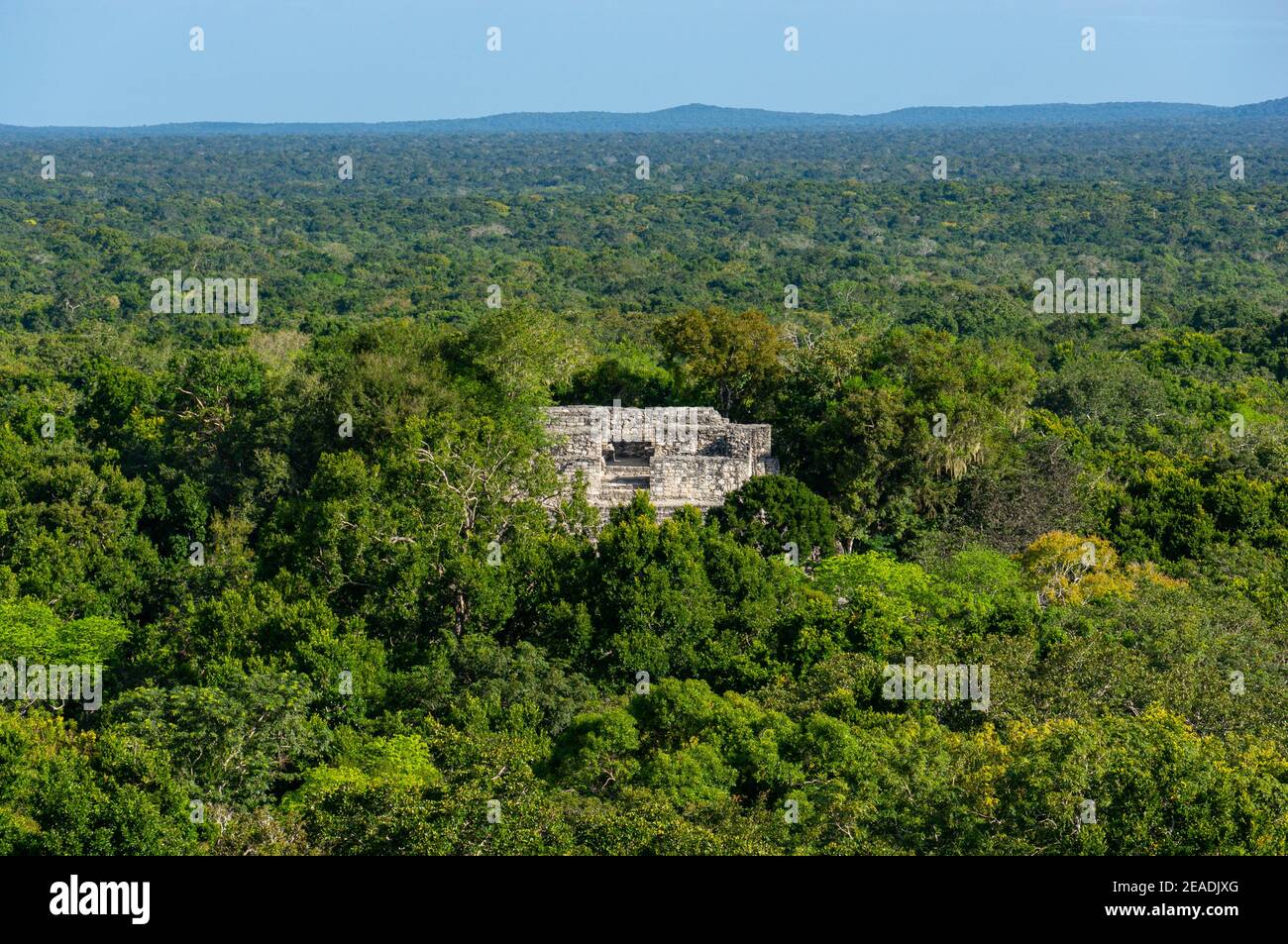 Maya Ruins of Calakmul in Mexico Stock Photo - Alamy