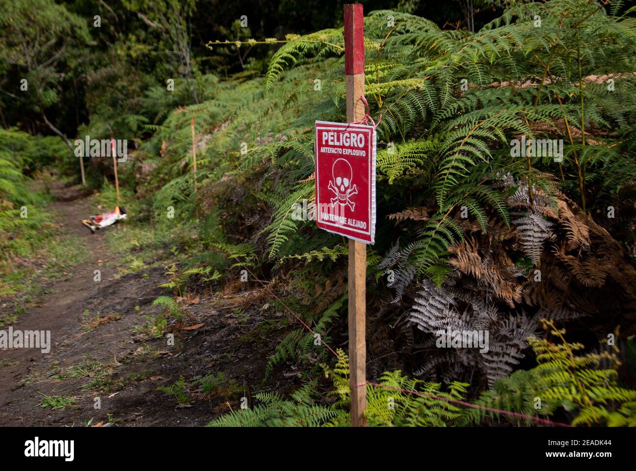 Guerrilla groups hi-res stock photography and images - Alamy