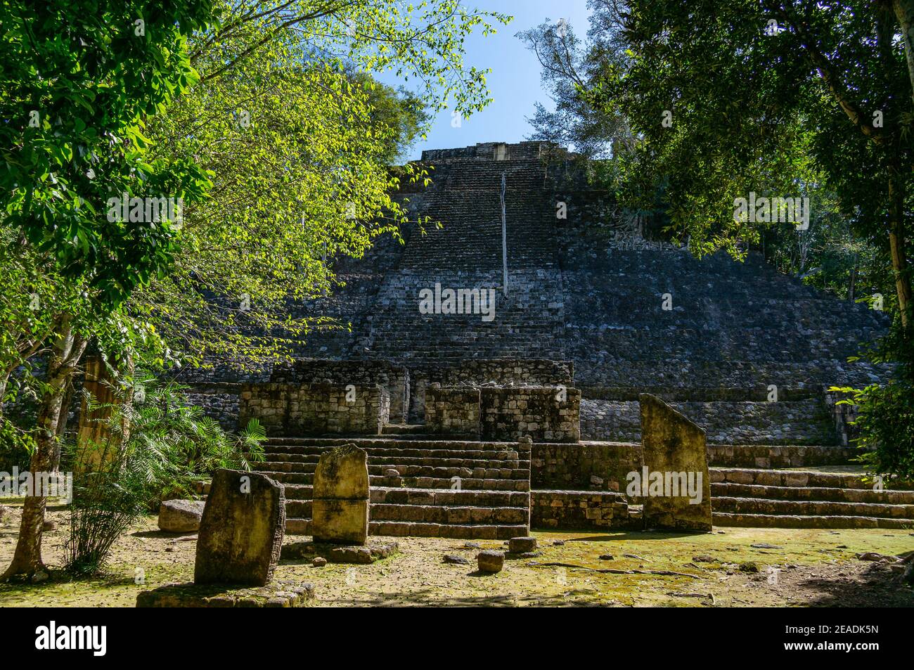Maya Ruins of Calakmul in Mexico Stock Photo - Alamy