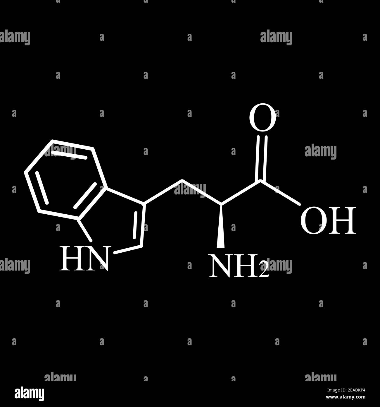 Tryptophan amino acid. Chemical molecular formula of tryptophan amino ...