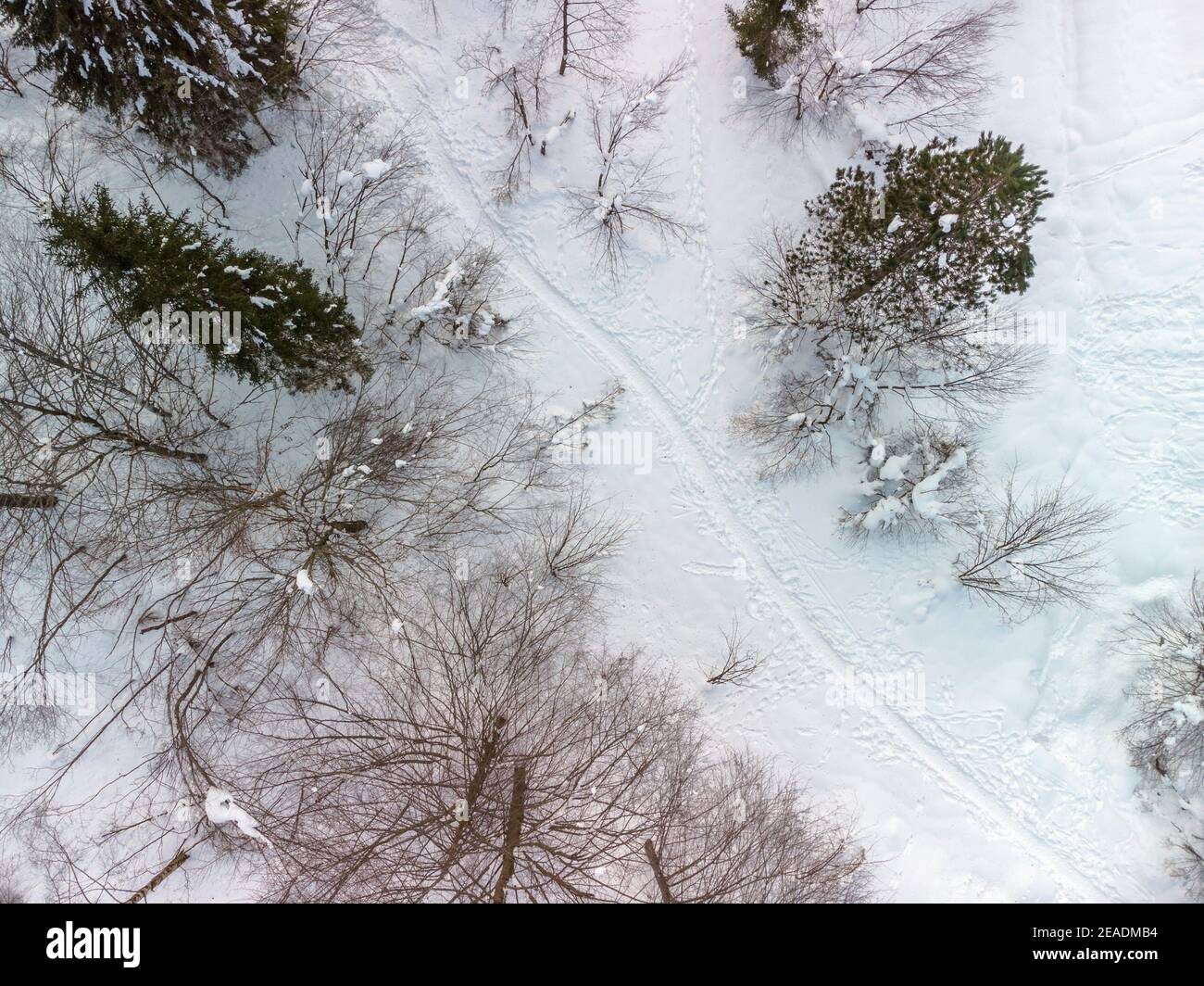 Snow-capped mountains and freezing temperatures. A look from above ...