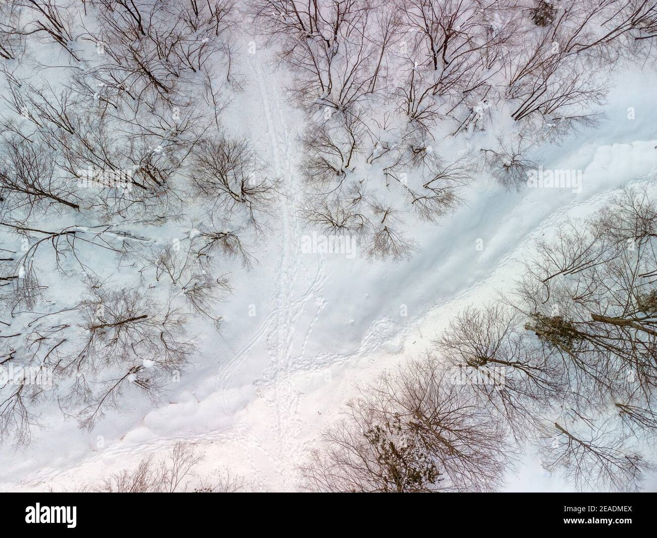 Snow-capped mountains and freezing temperatures. A look from above ...