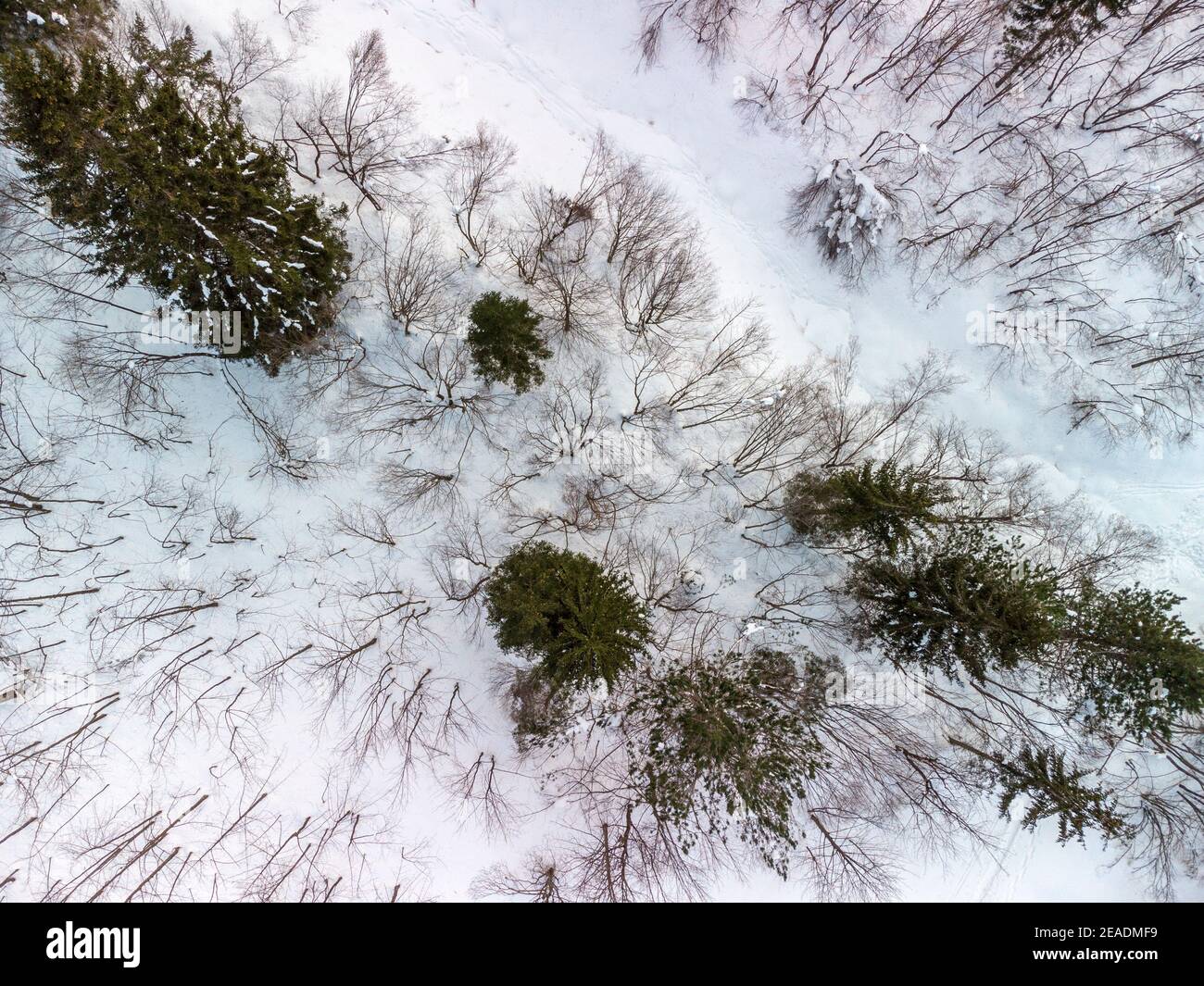 Snow-capped mountains and freezing temperatures. A look from above ...