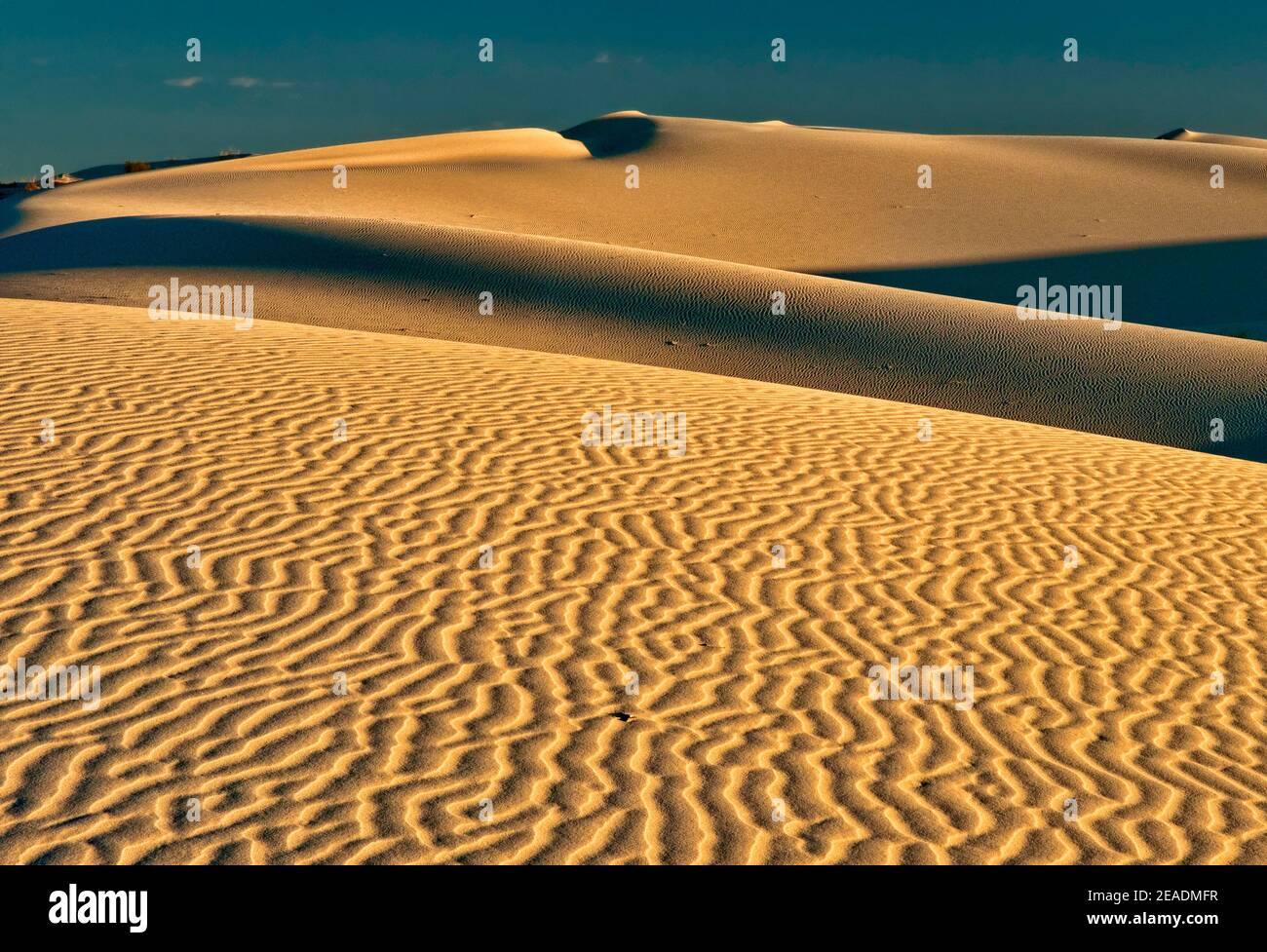 Monahans sandhills state park hi-res stock photography and images - Alamy