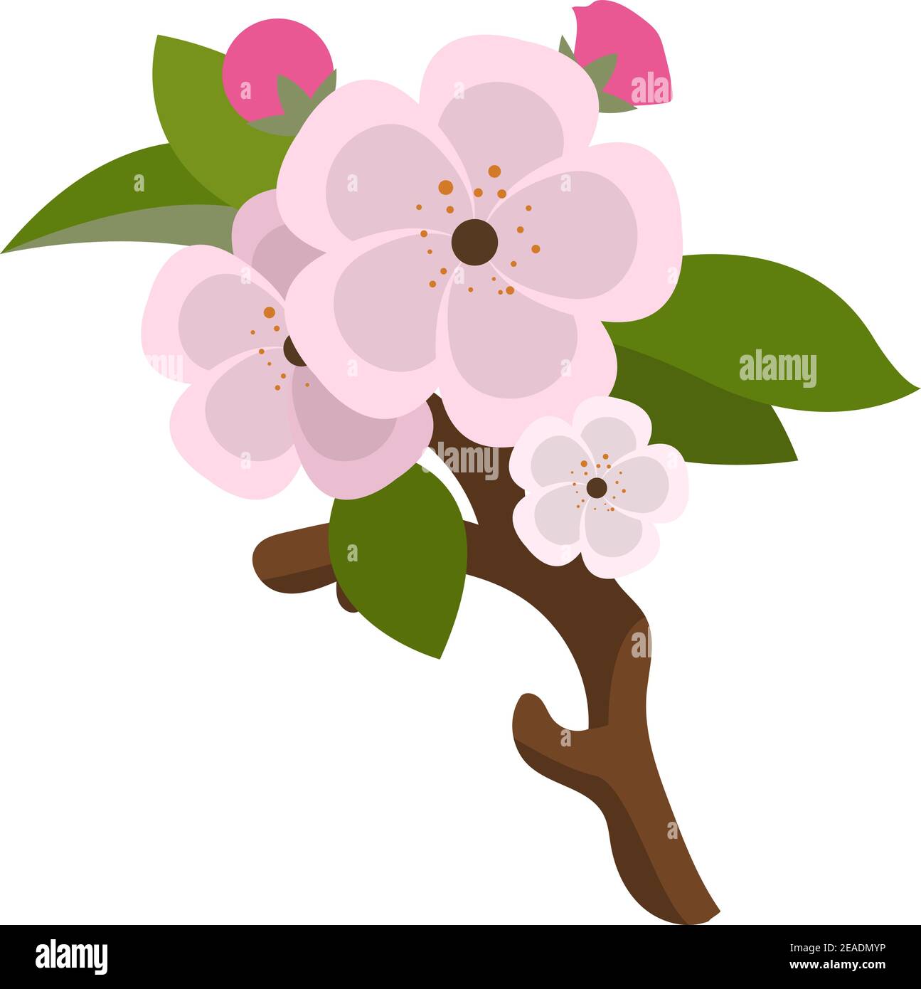 Peach blossom from tree Stock Vector Images - Alamy