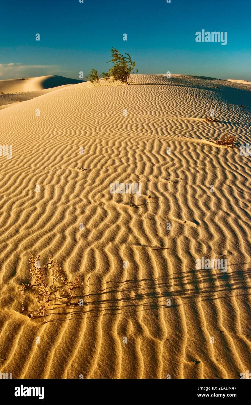 Monahans sandhills hi-res stock photography and images - Alamy