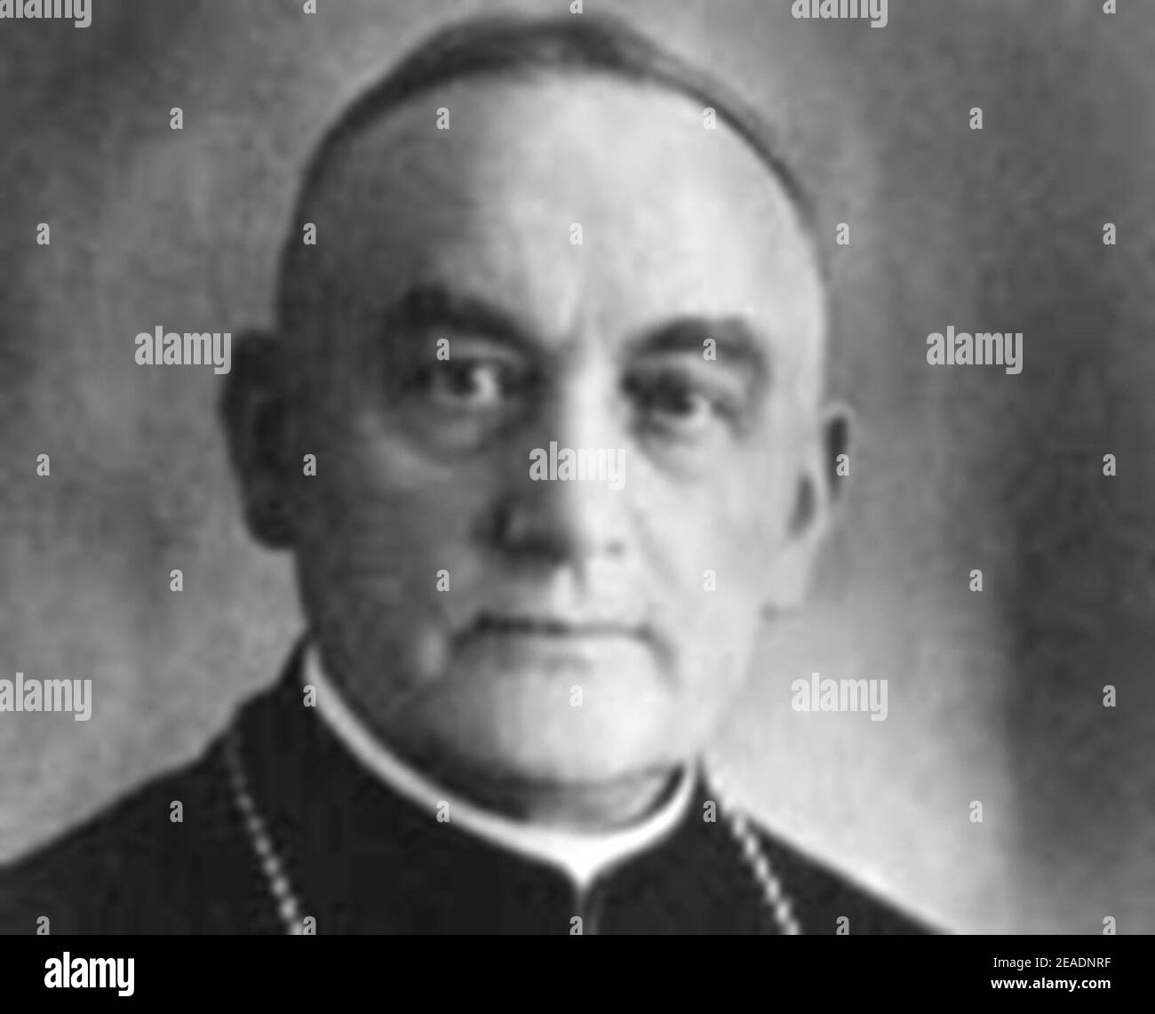 Bares nikolaus hi-res stock photography and images - Alamy