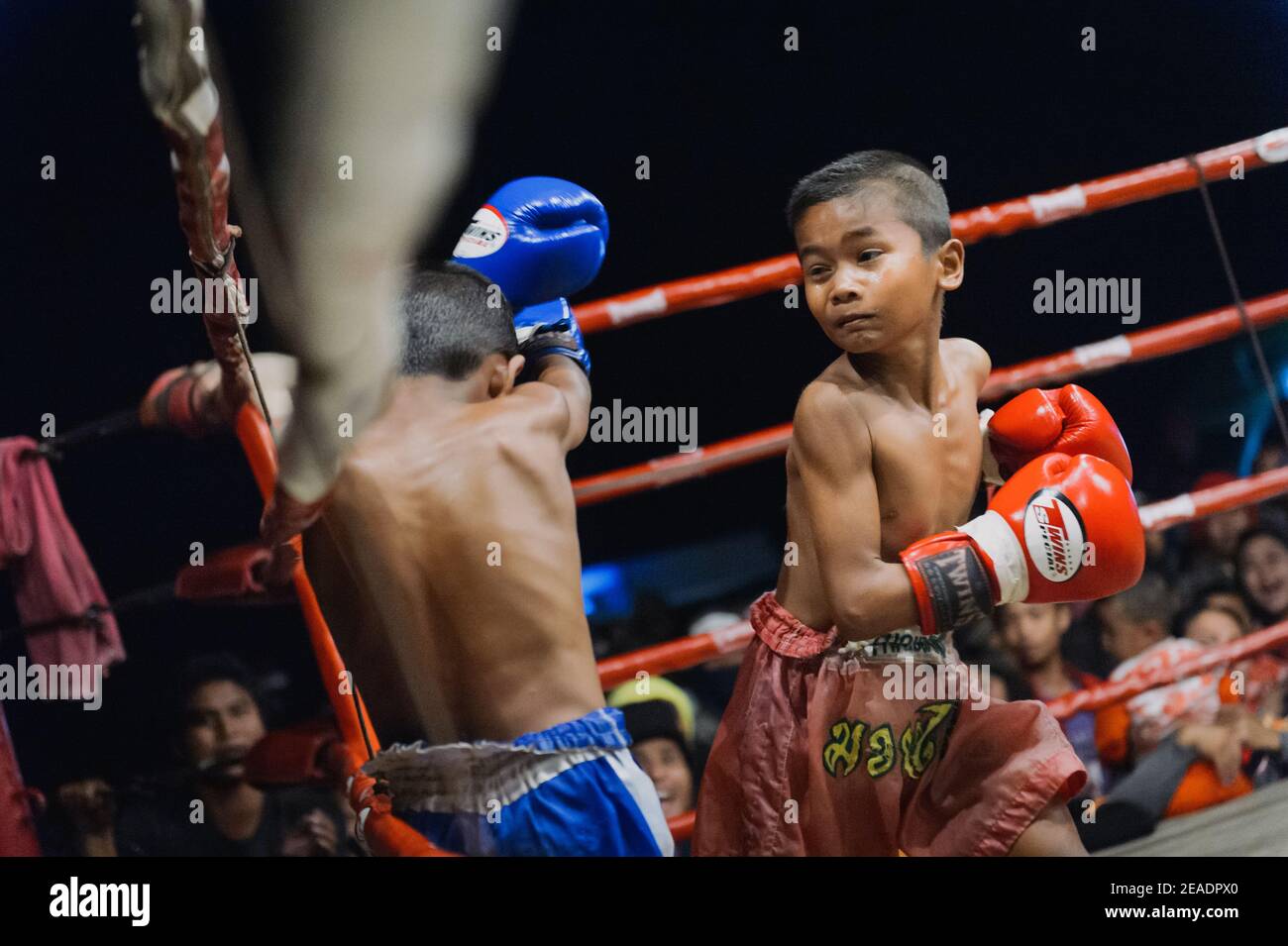 Muay Thai kids fighters during fight Stock Photo - Alamy