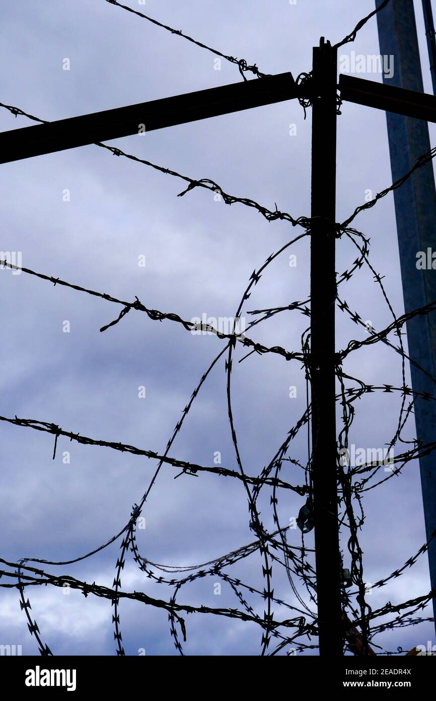 Barbed wire, France Stock Photo - Alamy